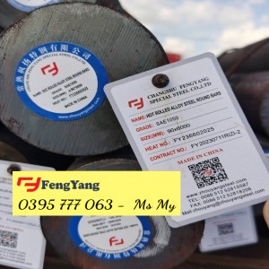 THÉP TRÒN ĐẶC S10C, S20C, S35C, S45C, SCM440, SKD11, D2, Cr12MoV, DC53, SK3,